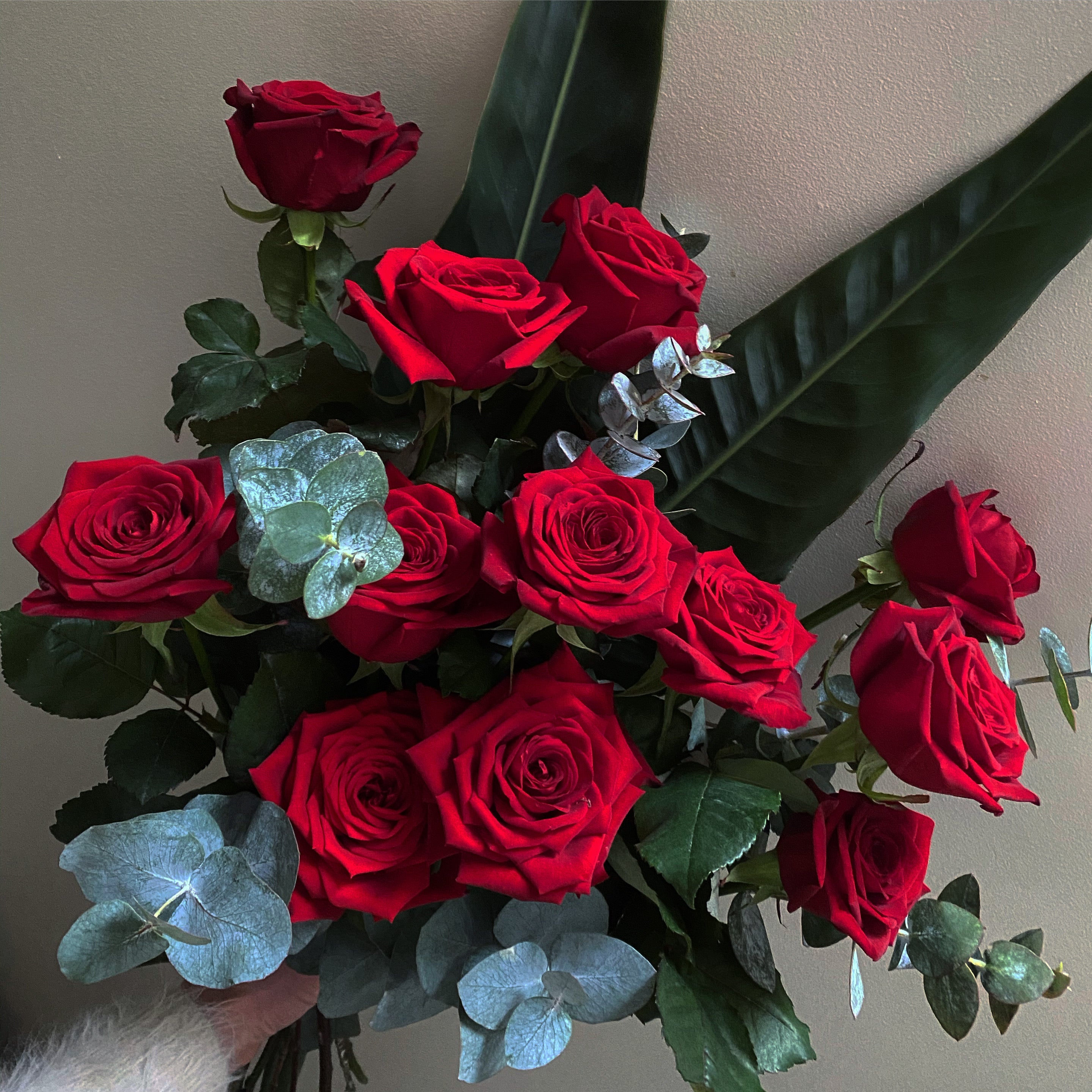 Scarlet Rose – Bellaflora Studio